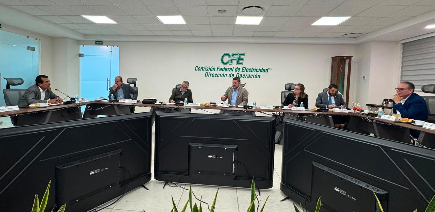 Energy & Commerce | CFE reporta 271 proyectos estratégicos para ...